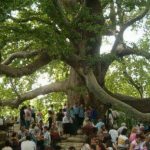 Bursa Day Tour From Istanbul - Private Istanbul Tours