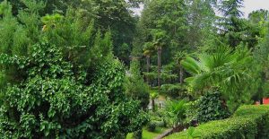 Sapanca & Masukiye Day Tour From Istanbul | Private Istanbul Tours