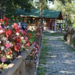 Sapanca & Masukiye Day Tour From Istanbul | Private Istanbul Tours
